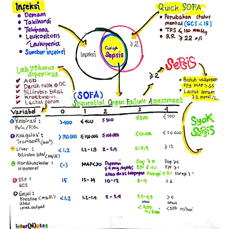 Sepsis dan Penghitungan Skor SOFA - medical.internotes